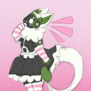 Accepted Command Applications